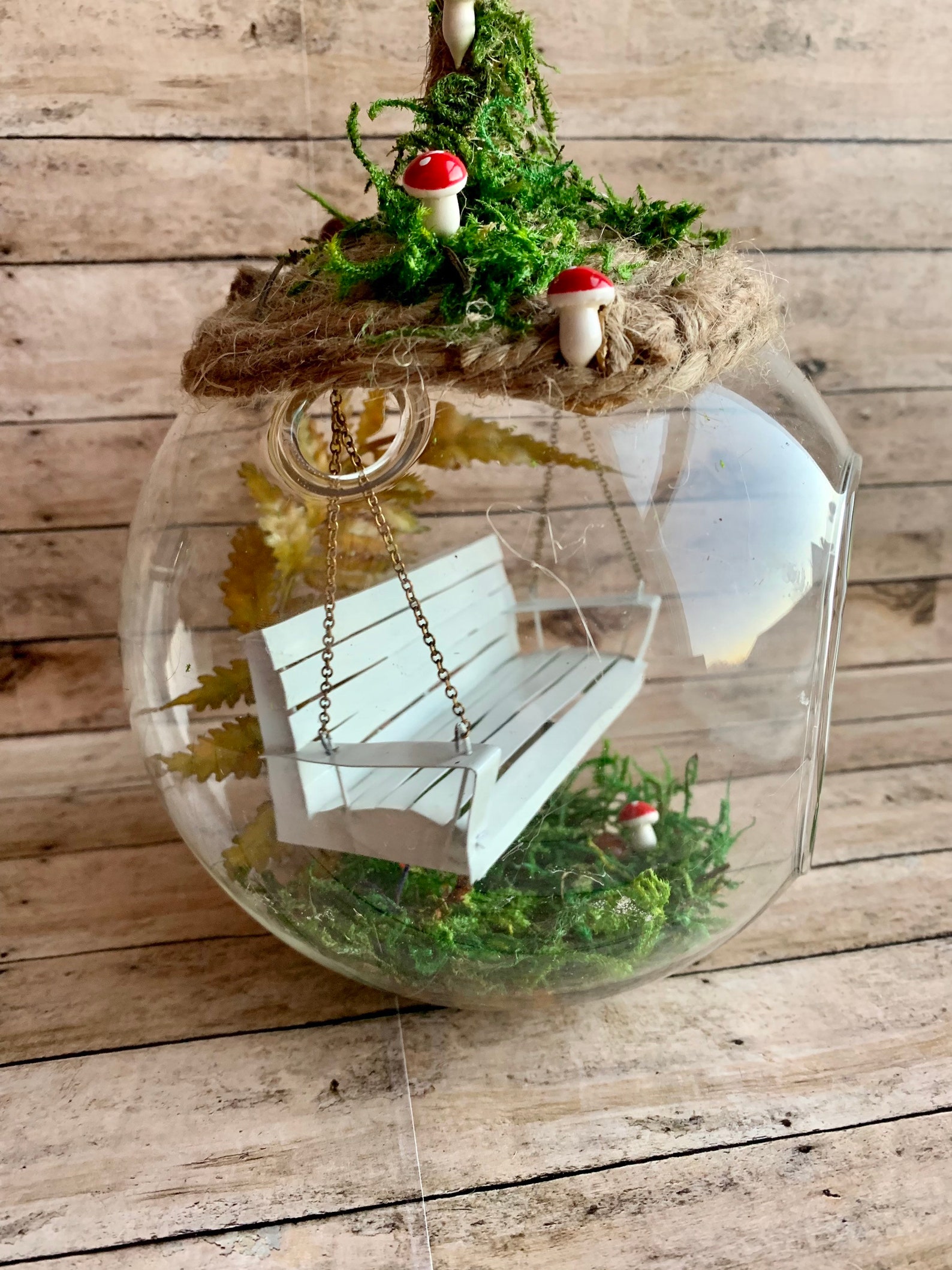 Cottagecore Diorama Terrarium Amanita Muscaria Oddity Curiosities ...