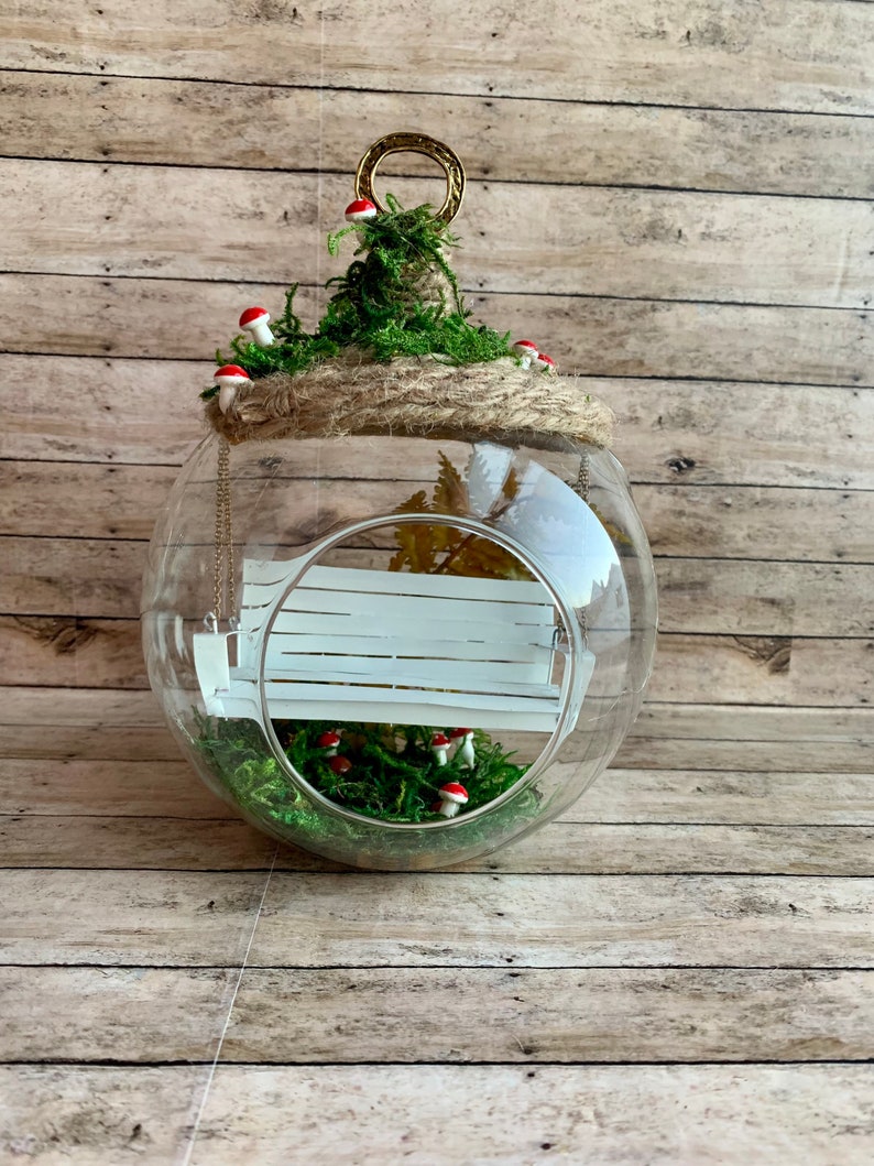 Cottagecore Diorama Terrarium Amanita Muscaria Oddity Curiosities ...