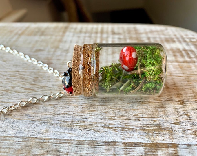 Succulent Ladybug Terrarium Miniature Mushroom Glass Dome Necklaces ...