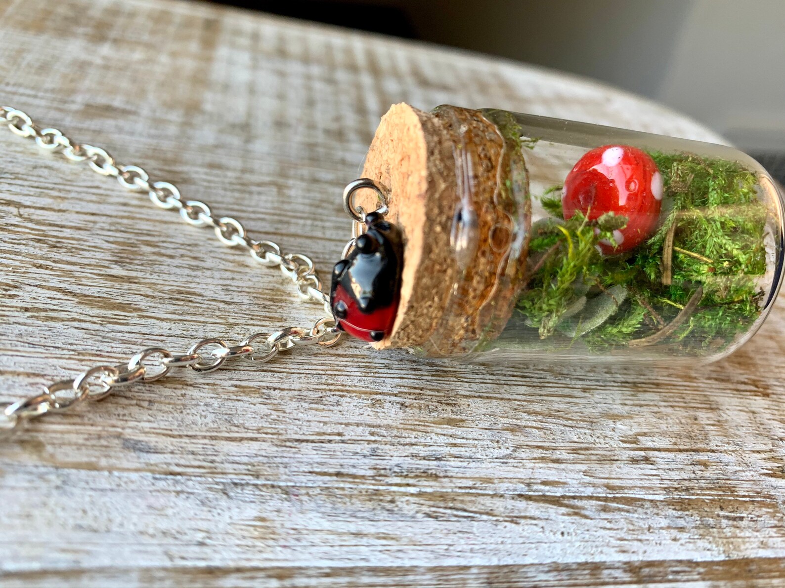 Succulent Ladybug Terrarium Miniature Mushroom Glass Dome - Etsy