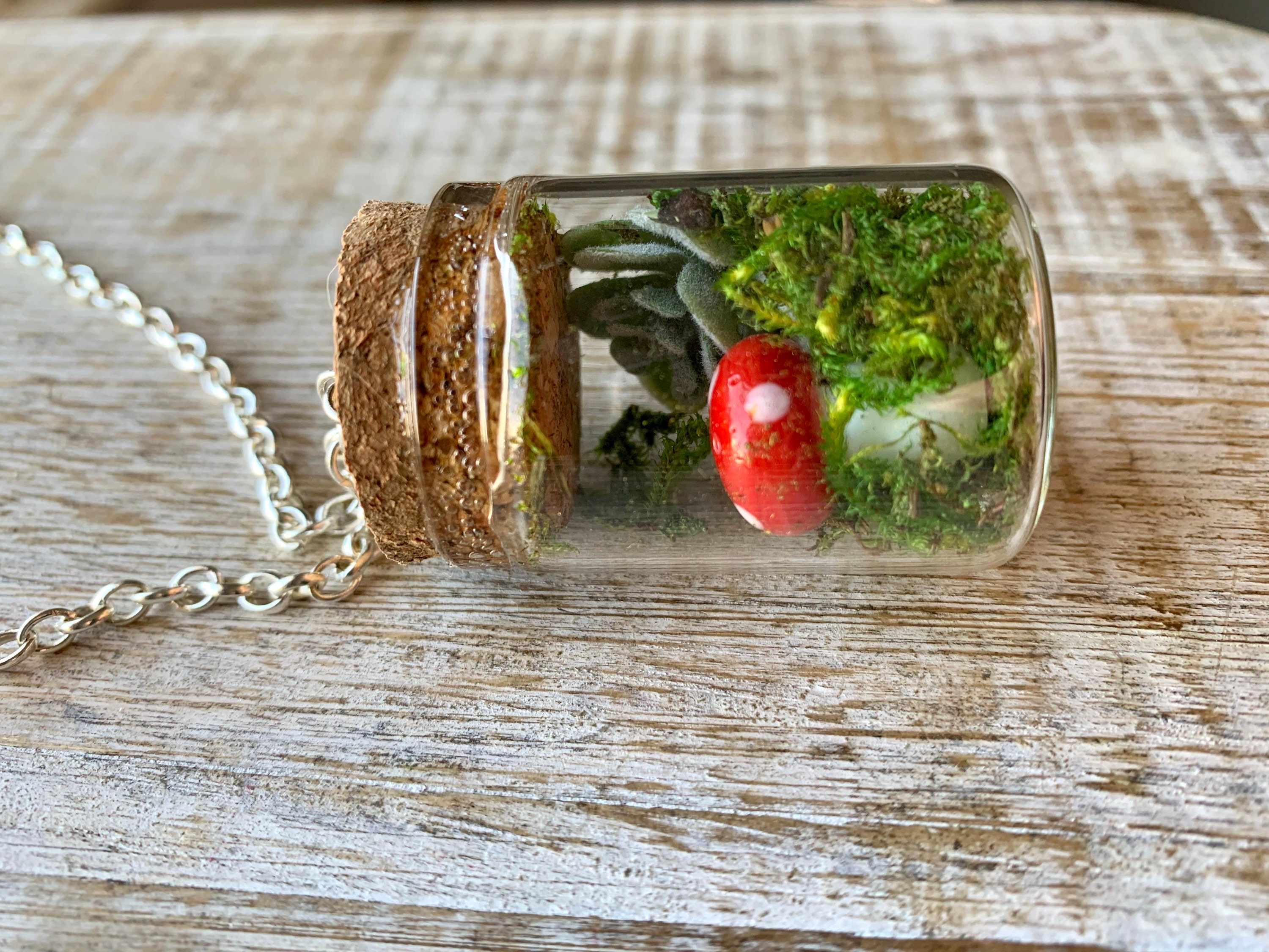 Succulent Ladybug Terrarium Miniature Mushroom Glass Dome | Etsy