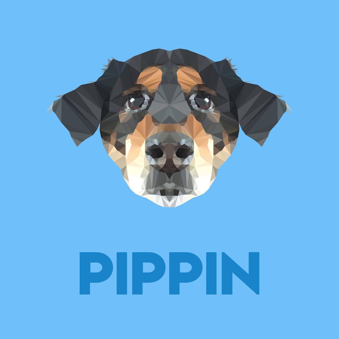 Custom Geometric Low Poly Triangle Pet Illustrations & Prints of Your ...