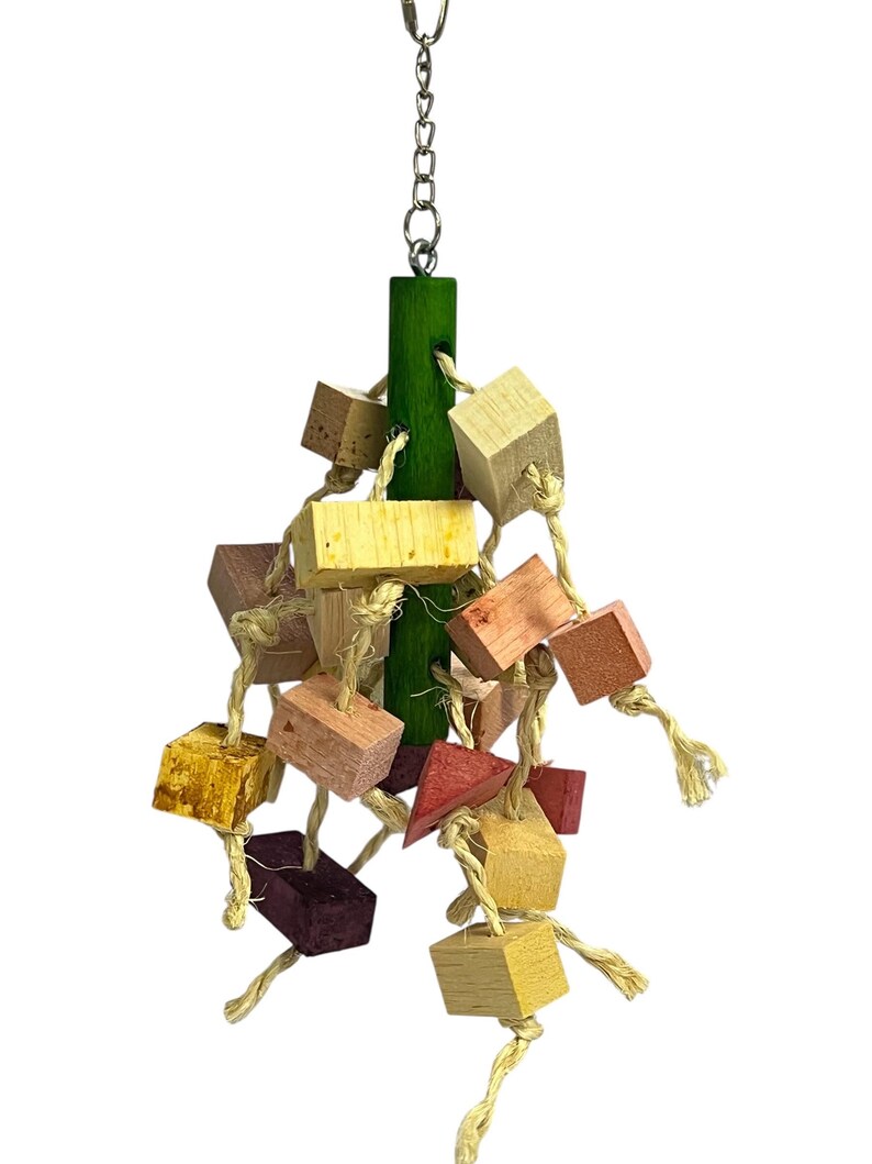 The Block Party - Fruit Flavored Chew Toys for Rabbits, Guinea Pigs ...