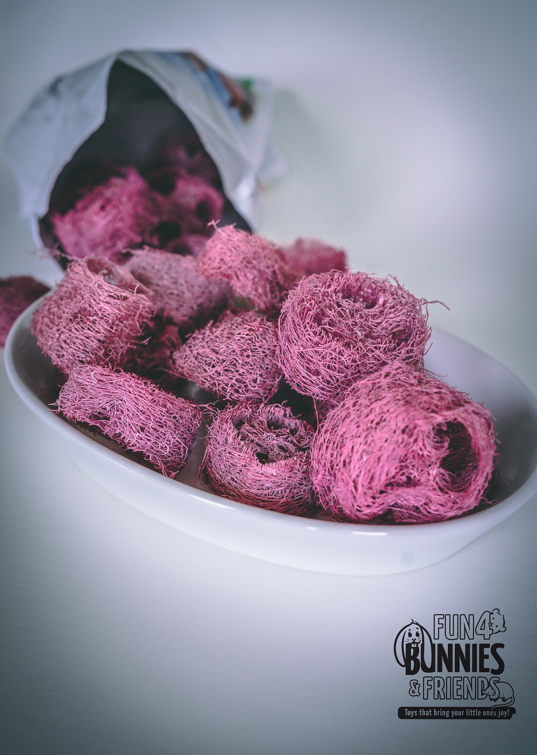 Fruit Flavored Loofah Chew Toys (10 Ct) – Rabbit, Guinea Pig, Bird - Etsy