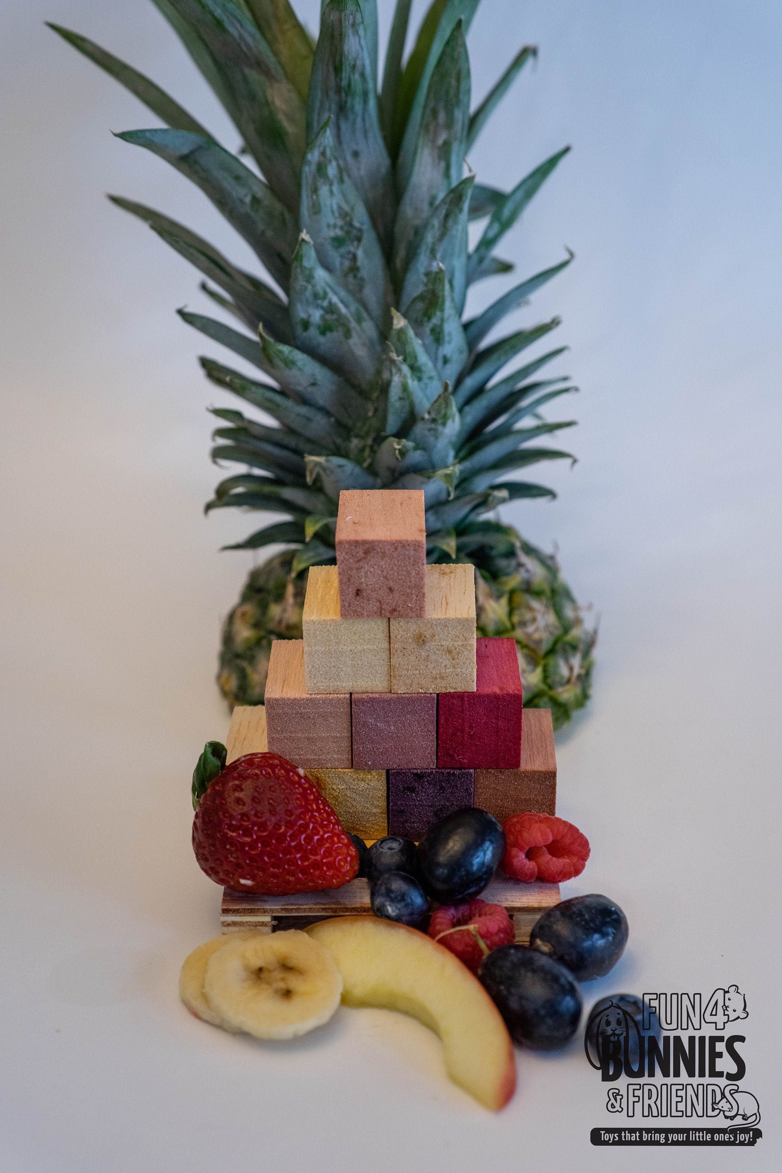 10 of the Original Flavored Balsa Blocks - Fruit Flavored Toys for ...