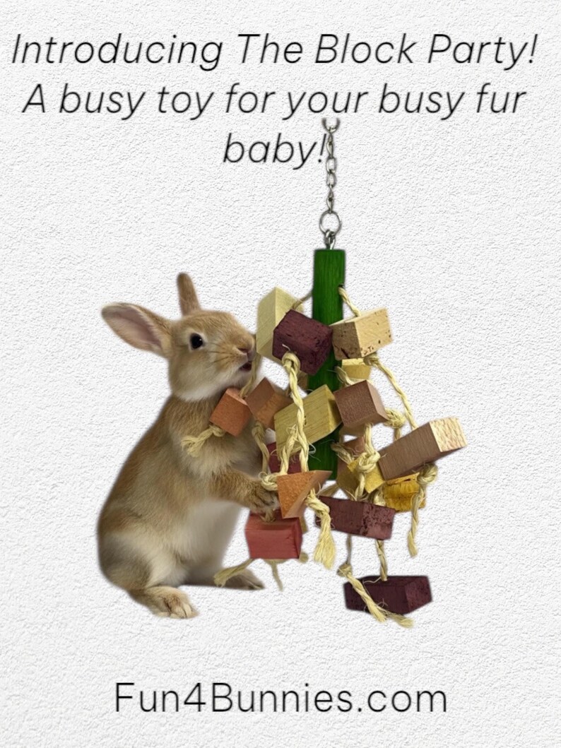 The Block Party - Fruit Flavored Chew Toys for Rabbits, Guinea Pigs ...