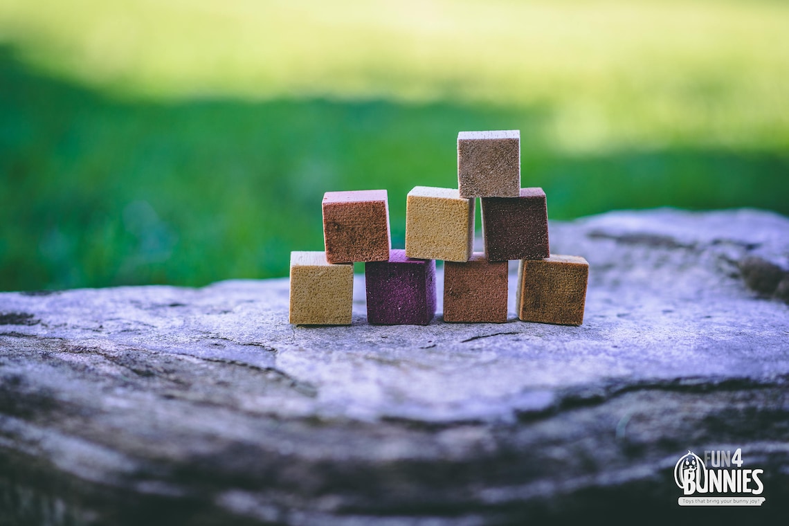 10 of the Original Flavored Balsa Blocks Fruit Flavored Toys - Etsy