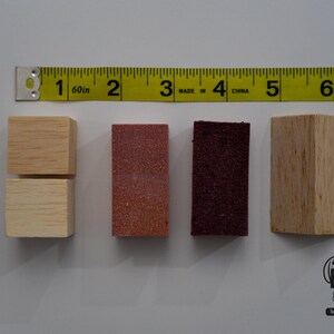 Fruity Balsa Fling - Fruit Flavored Chew Toys for Rabbits, Guinea Pigs ...