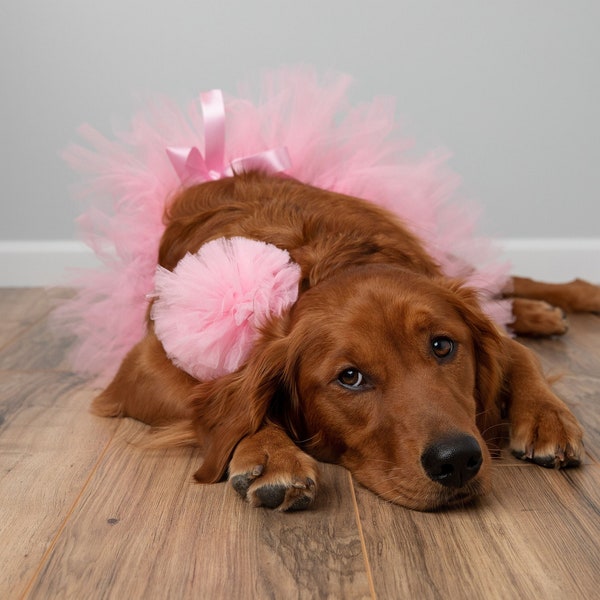 Dog Tutu - Etsy