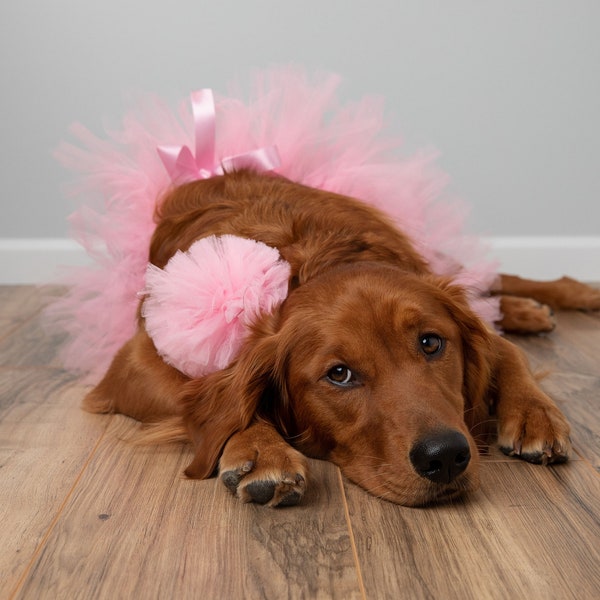 Dog Tutu - Etsy
