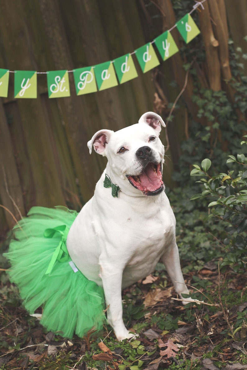 Dog Tutu-various Color Options XS-XXXL. Durable Dog Tutu | Etsy