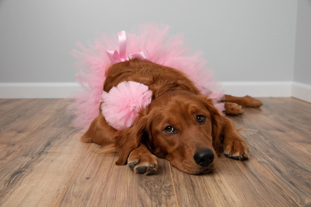 Dog Tutu-various Color Options (XS-XXXL). Durable Dog Tutu, Designed ...