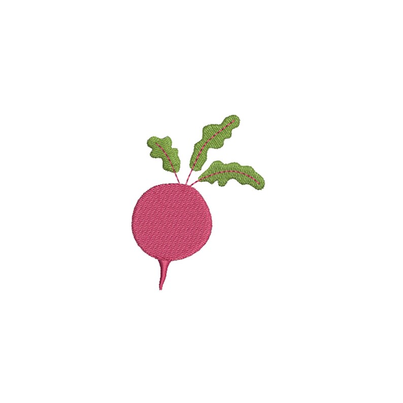 7 Sizes--mini Beet--machine Embroidery Design--instant Download - Etsy