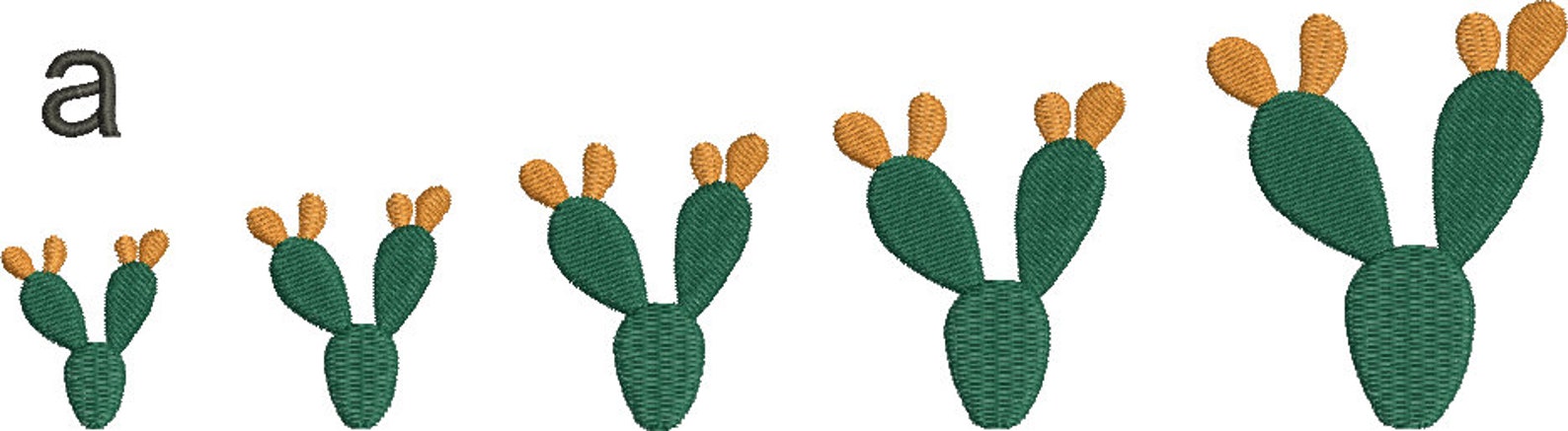 5 Sizes-mini Cactus--machine Embroidery Design Set--instant Download - Etsy