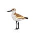 6 Sizes--mini Sandpiper Bird--machine Embroidery Design--instant ...