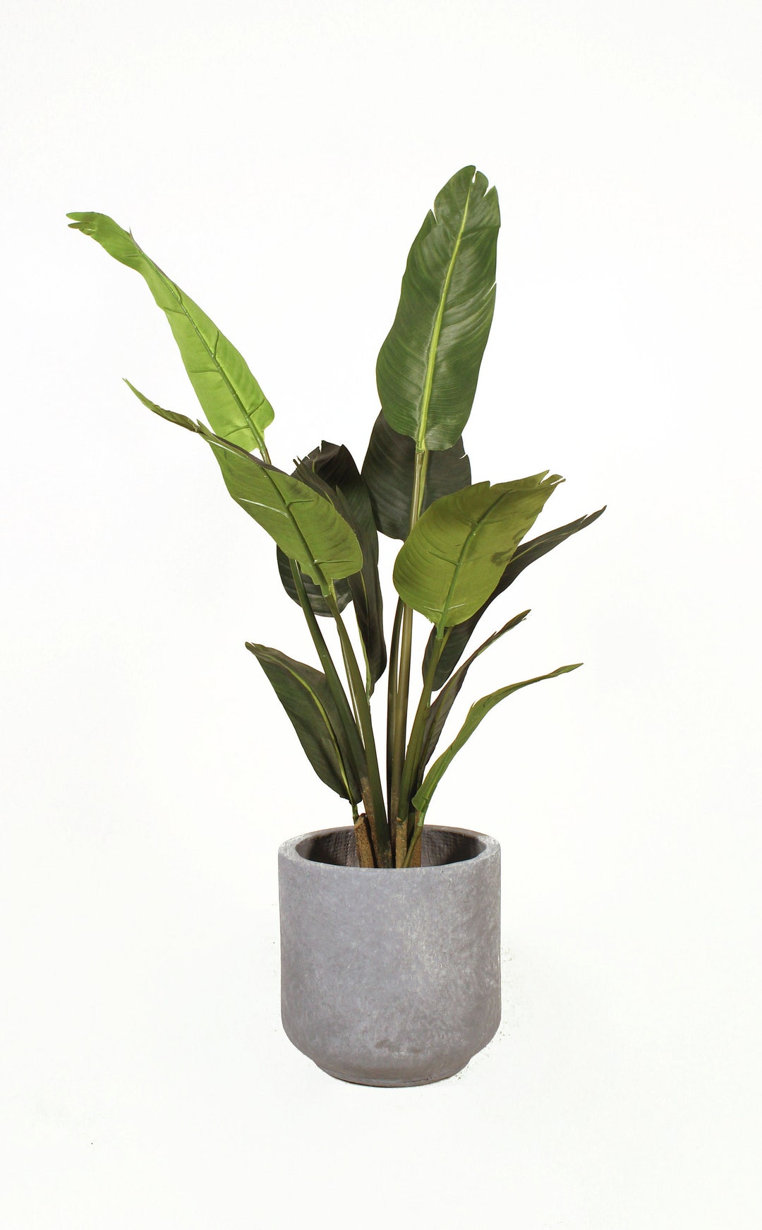 Large Fiber Clay Planter-cylinder Pot 10''-mid Century Pot-indoor ...