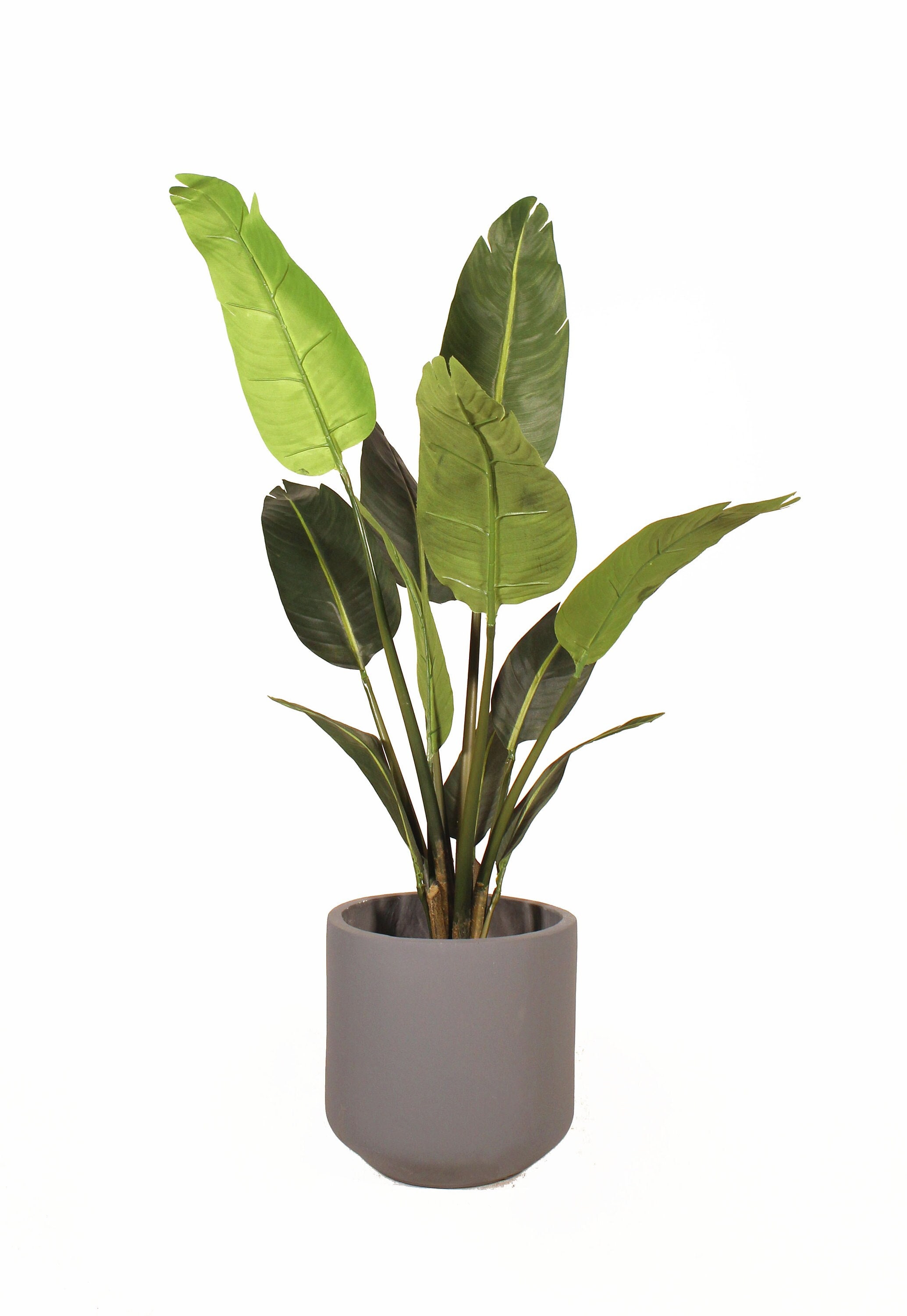 10" Lightweight Outdoor Concrete Pots - Winter Proof Clay Planter ...