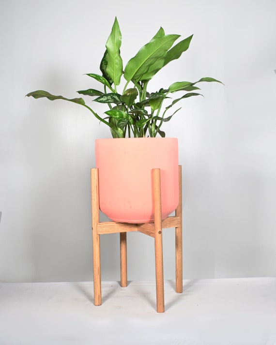 Ferns, Grasses & Bamboo Outdoor & Gardening Live Plant Peace Lily Plant ...