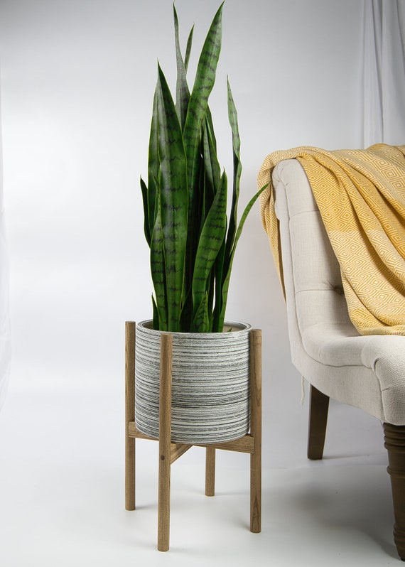 Grey plant table store