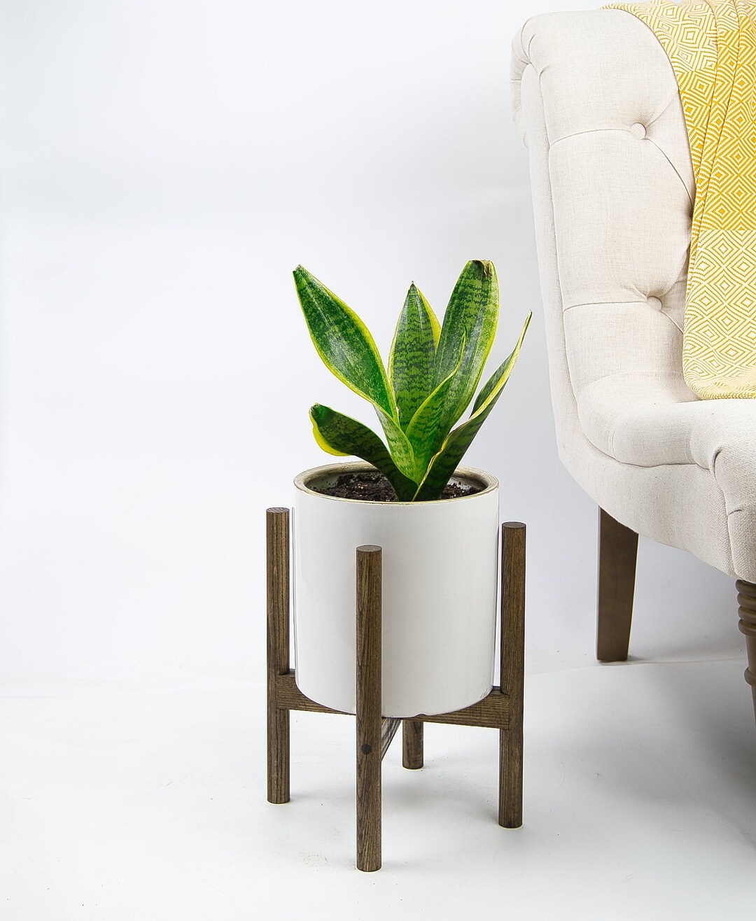 Live Plant Snake Plant With Pot and Stand 8" Ceramic Planter With Wood ...