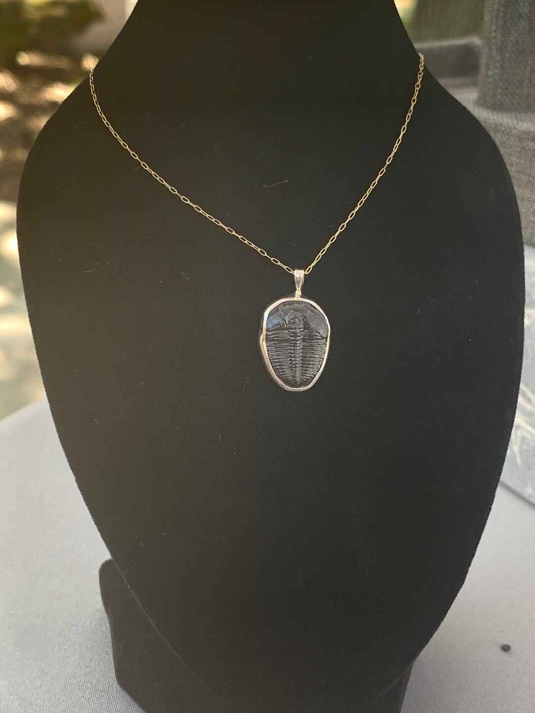 Trilobite Necklace - Etsy