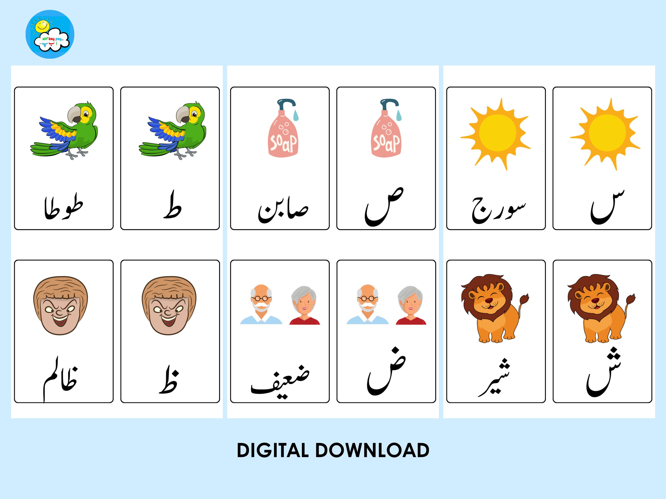 Urdu Flashcards - Etsy