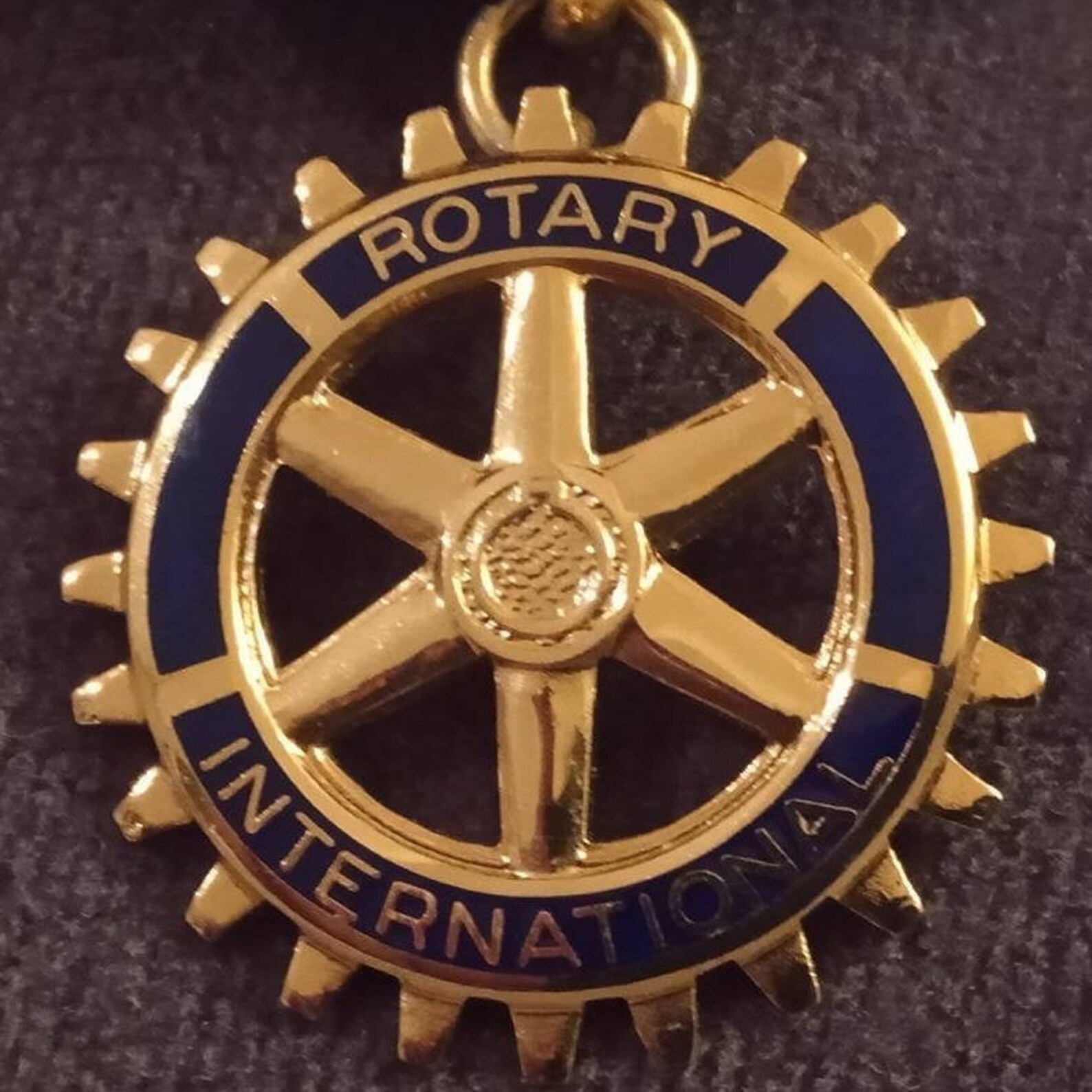 Rotary Club International Past Presidents Medal - Etsy UK