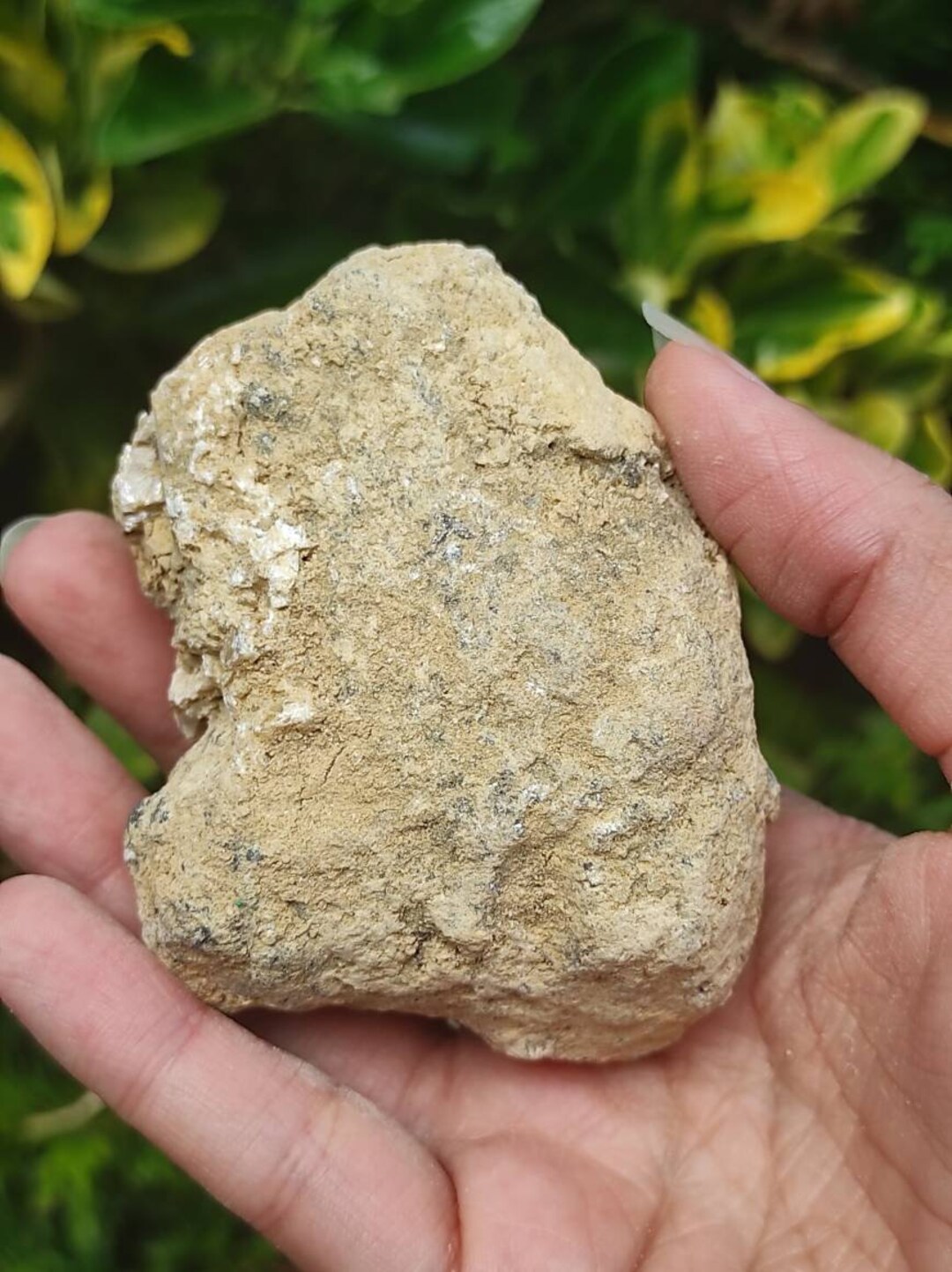 Rock Crystal Geode to Open - Etsy