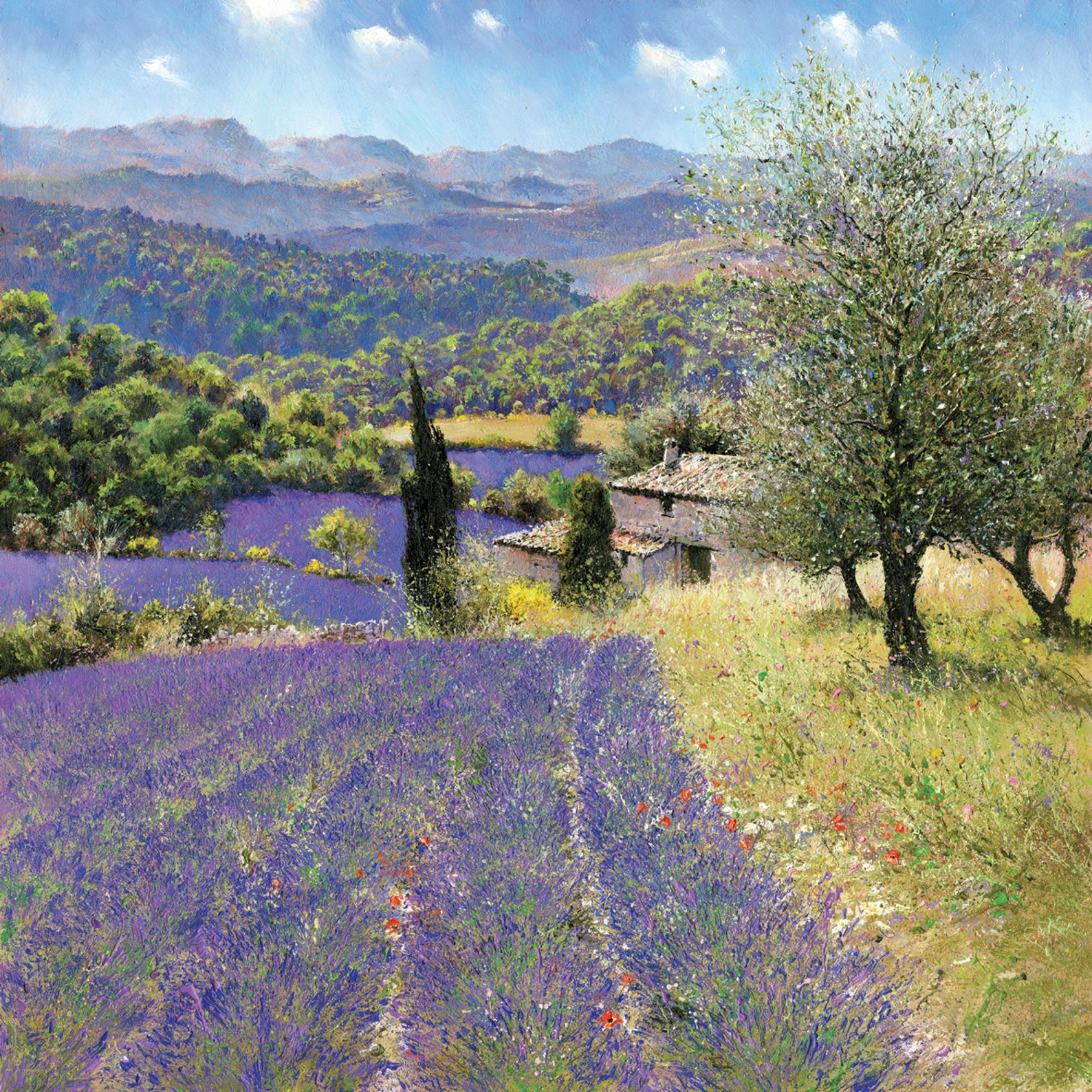 La Provence Limited Edition Giclee Print Signed Art - Etsy UK