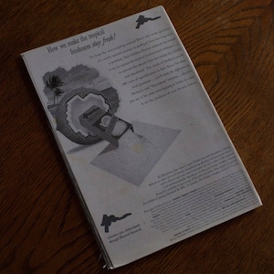 Sensible Chuckle Magazine Cover / Dust Cover Based on the "sensible ...