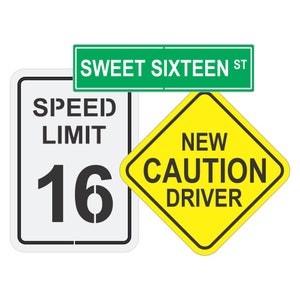 New Driver 16th Birthday Cookie Stencil | 16th Birthday Cookie Stencil ...