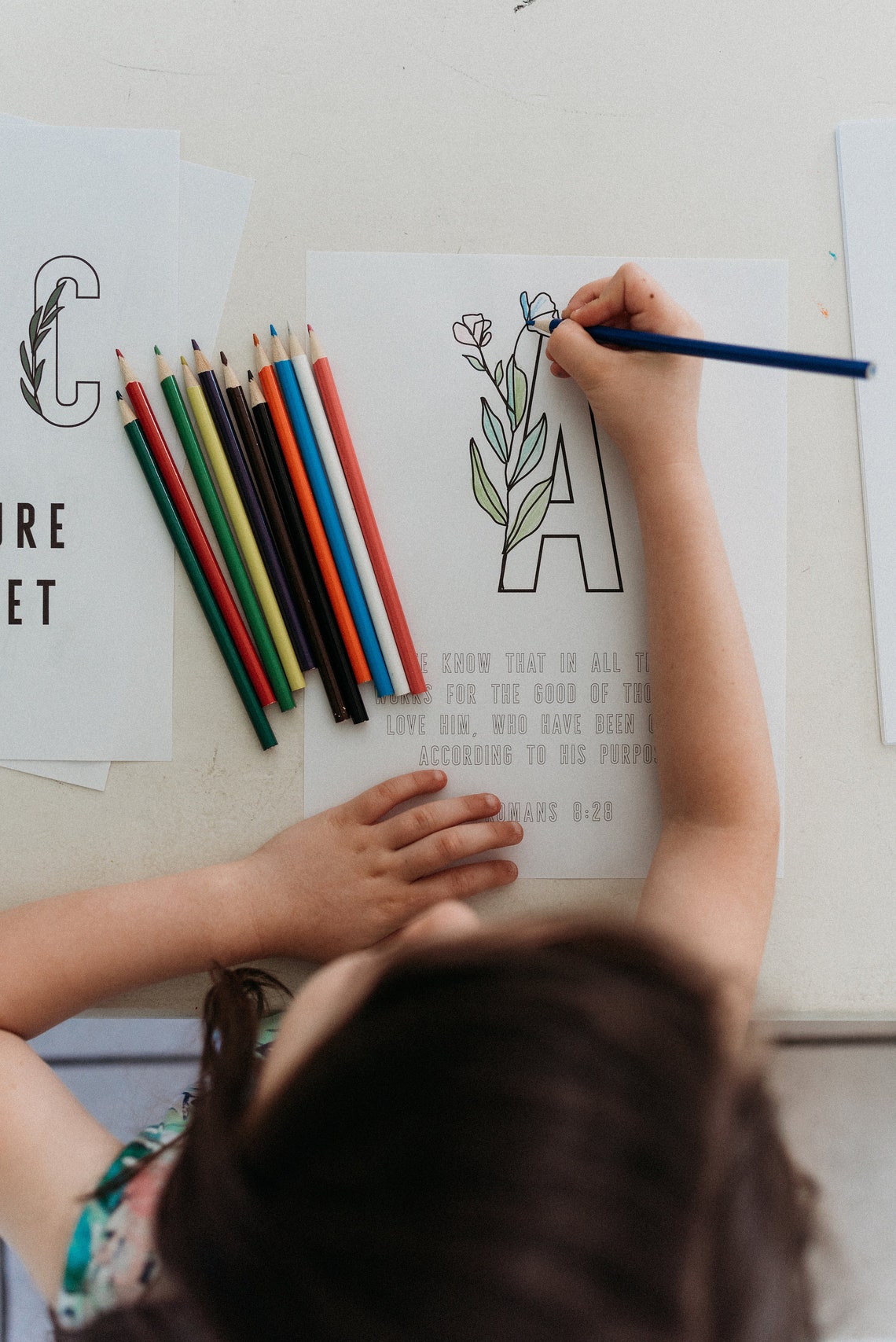 Printable Coloring Pages Bundle Children's Coloring to | Etsy