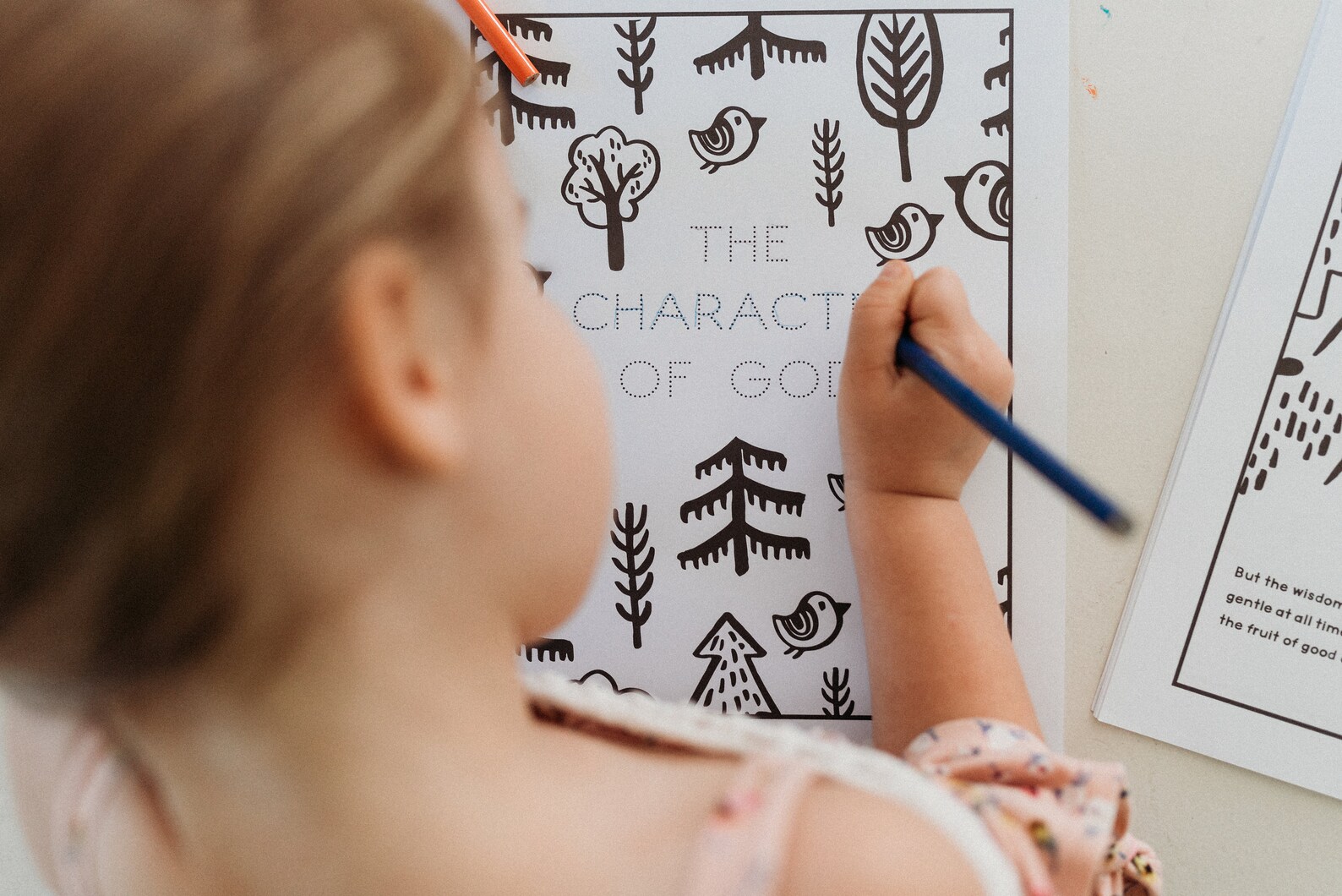 Printable Coloring Pages Bundle Children's Coloring to - Etsy