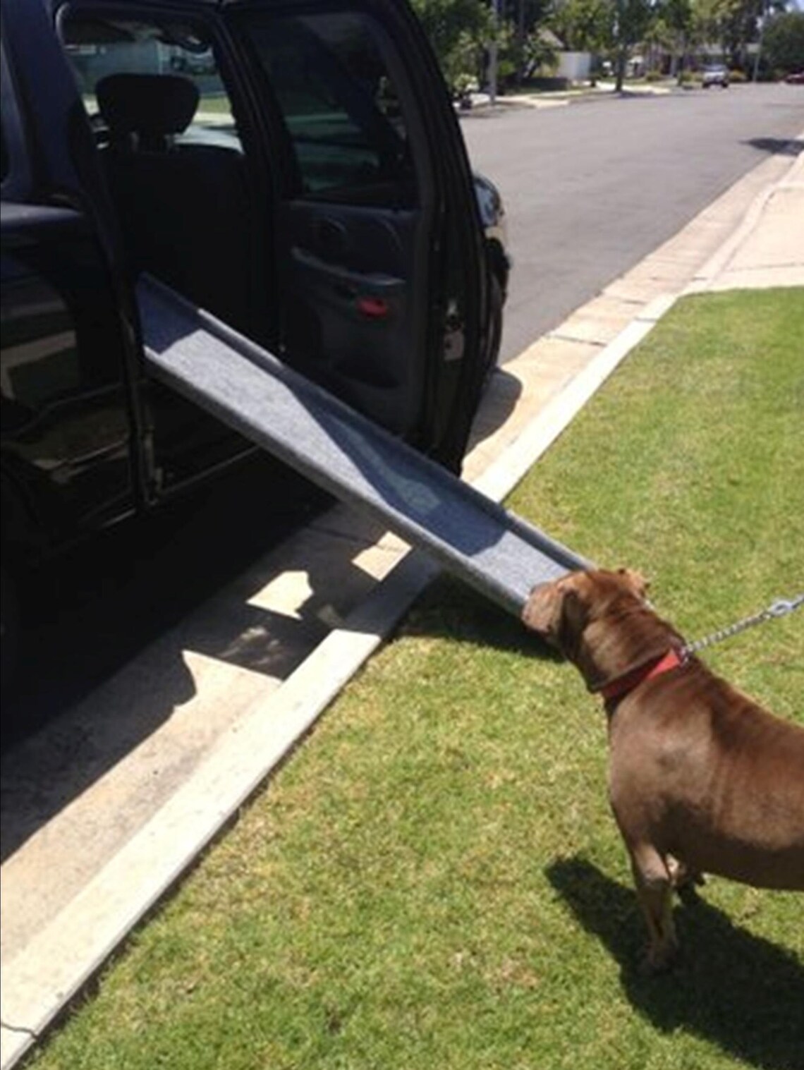 Pet Ramp Plan/dog Ramp Plan/animal Ramp Plan/cat Ramp Plan/pdf - Etsy