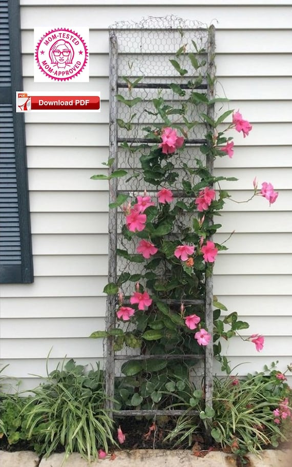 Garden Ladder Plan/climbing Plant Ladder Plan/ladder Plan/wood - Etsy