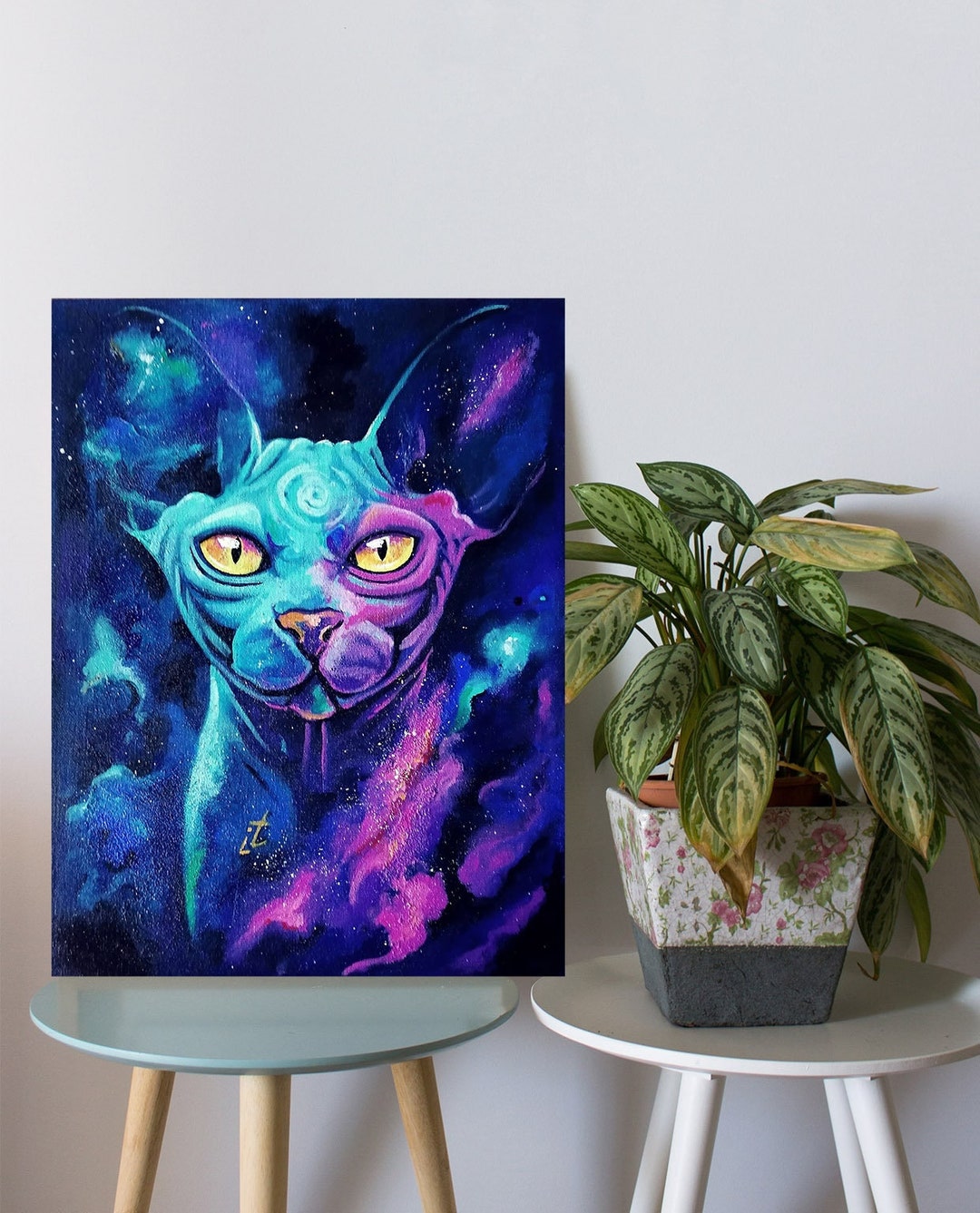Cat Portrait, Space, Sphynx, Original Artwork, Akrylic Painting on ...