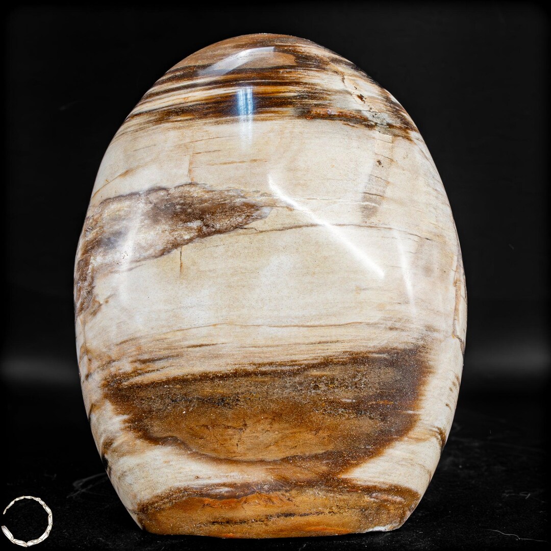 Natural Freeform Crystal Made From Petrified Wood - 826.77 G - Etsy