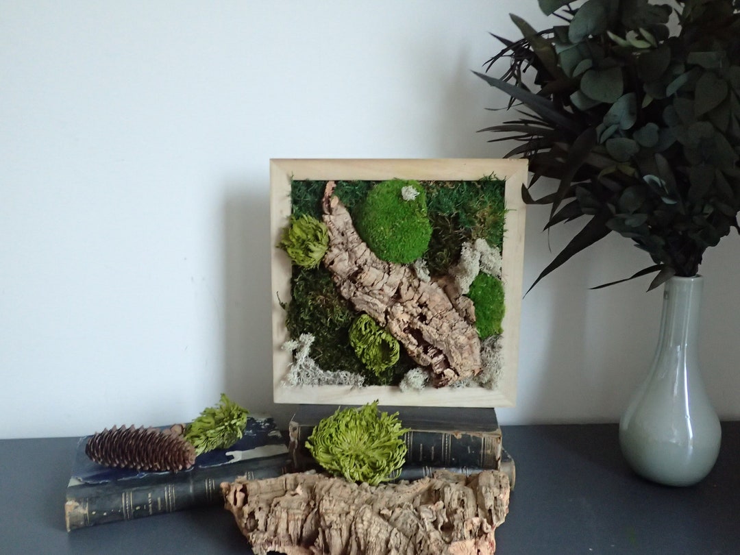 Plant Frame Preserved Plant Frame Flower Frame Plant Wall - Etsy