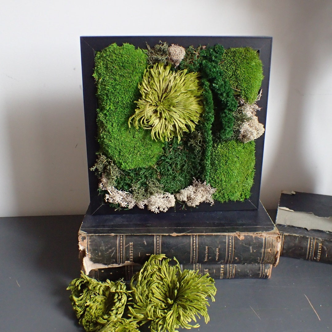 Plant Frame Preserved Plant Frame Flower Frame Plant Wall - Etsy