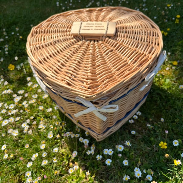 Biodegradable - Etsy