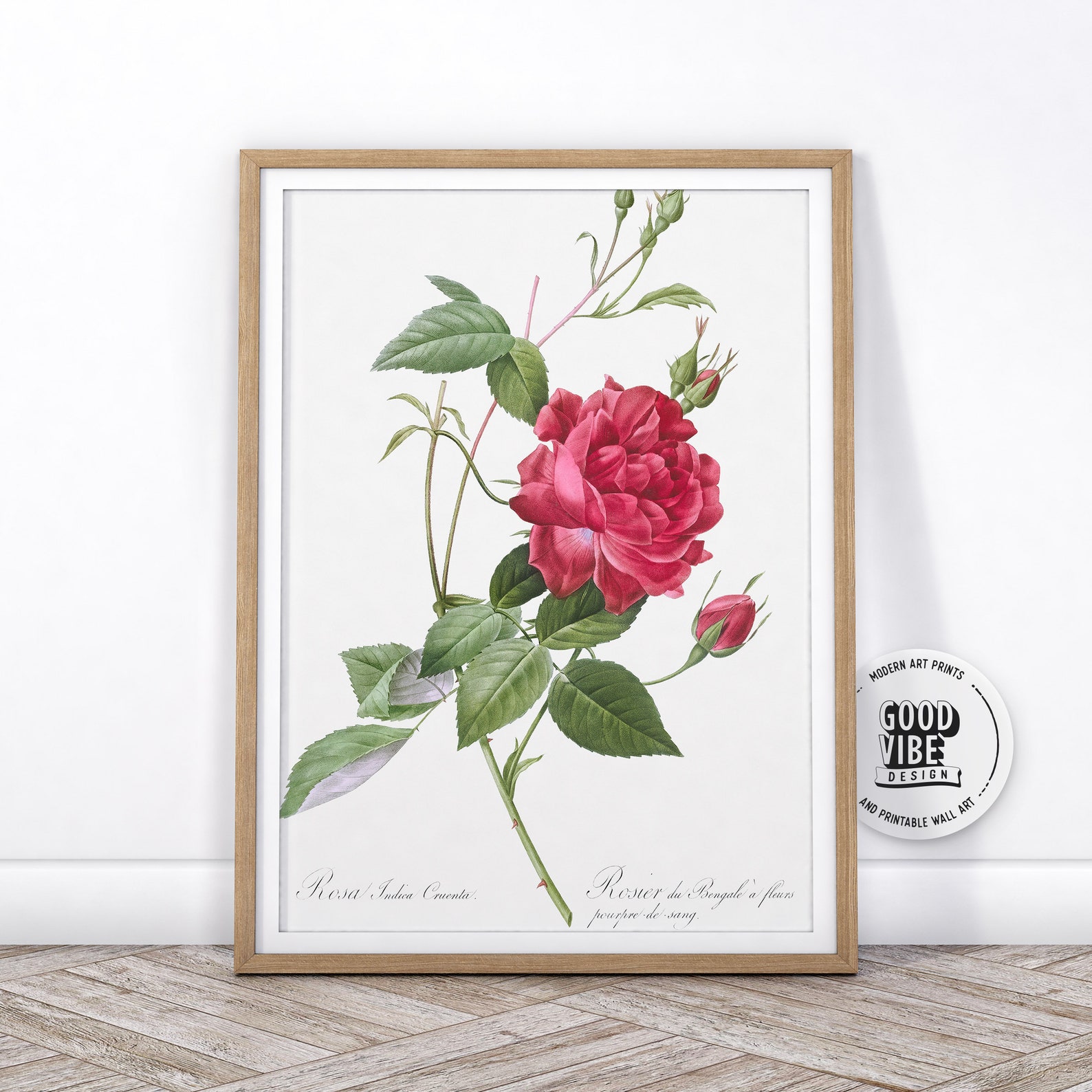 Vintage Rose Botanical Prints, Antique Flower Wall Art, Cottagecore ...