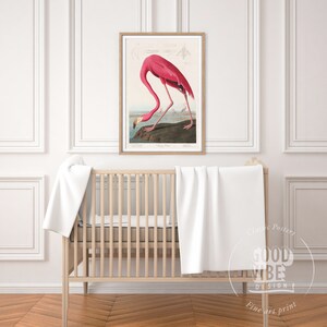Flamingo Print, Animal Nursery, Pink Decor, Vintage Wall Art, Birds ...