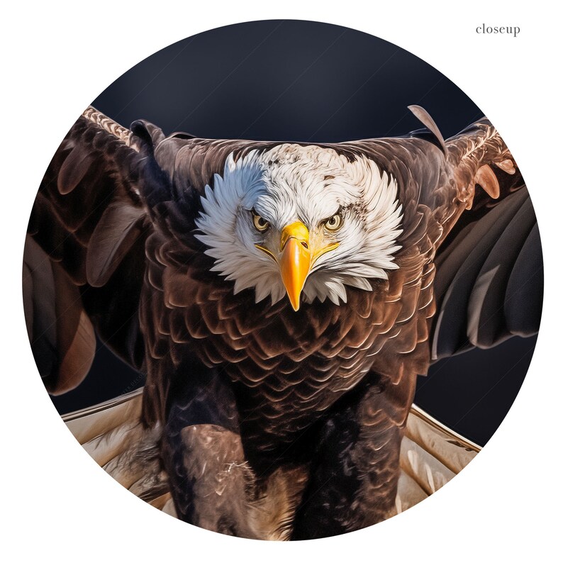 Bald Eagle Photography Poster, Modern Wildlife Art - Etsy