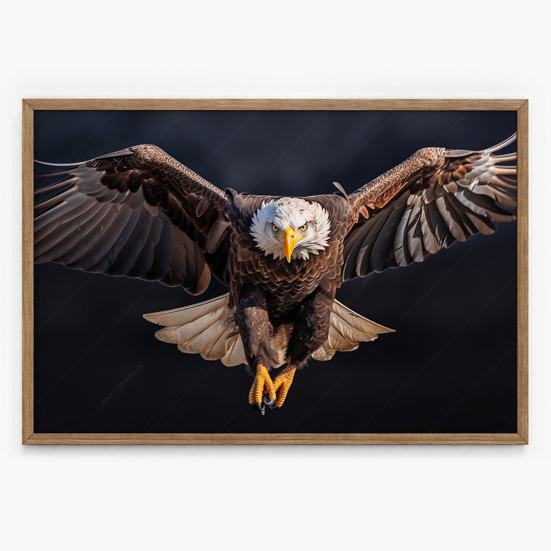 Bald Eagle Photography Poster, Modern Wildlife Art - Etsy