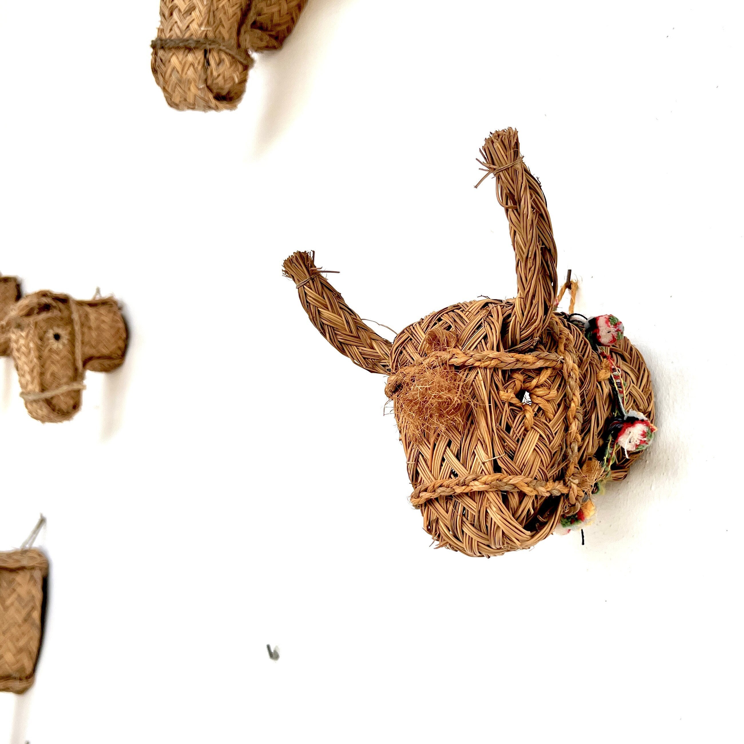 Donkey Head Size M Rattan Donkey Head False Animal Trophy - Etsy