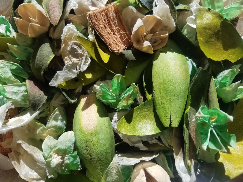 Spring Awakening Potpourri: Green & White Botanical Decor With Scent ...