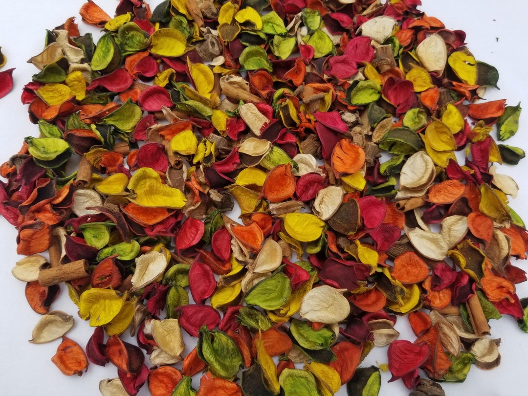 Fall Colors Potpourri for Scented Autumn Decor or Vase Filler With ...