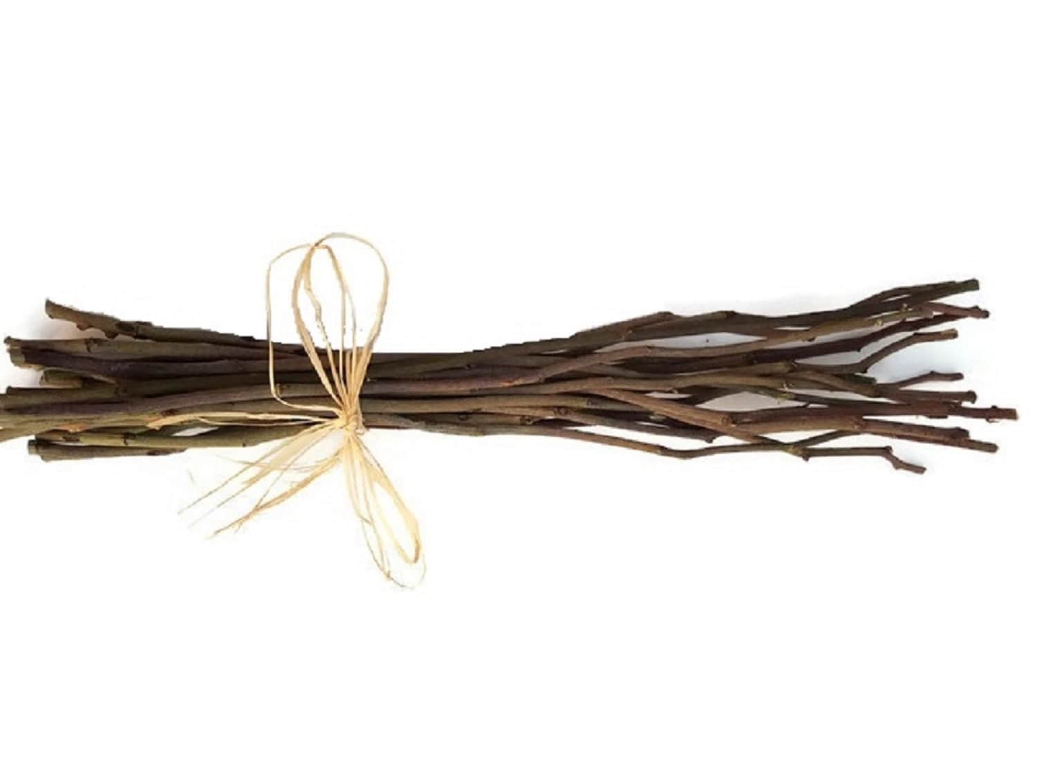 Dried Rose Stems Sticks for Crafts, Wedding Wands, Flower Arrangements ...
