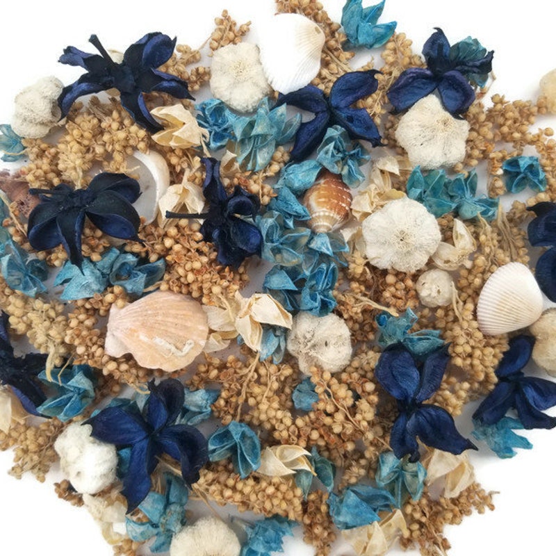 Seashore Decor - Etsy