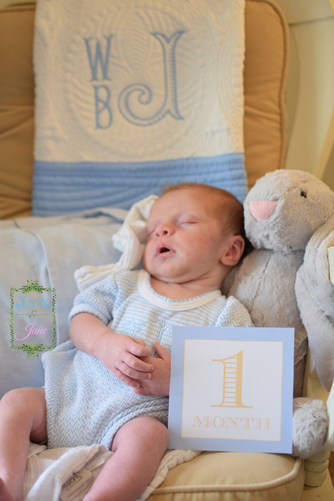 PRINTABLE Baby Milestone Cards, Baby Shower Gift, Baby’s First Year ...